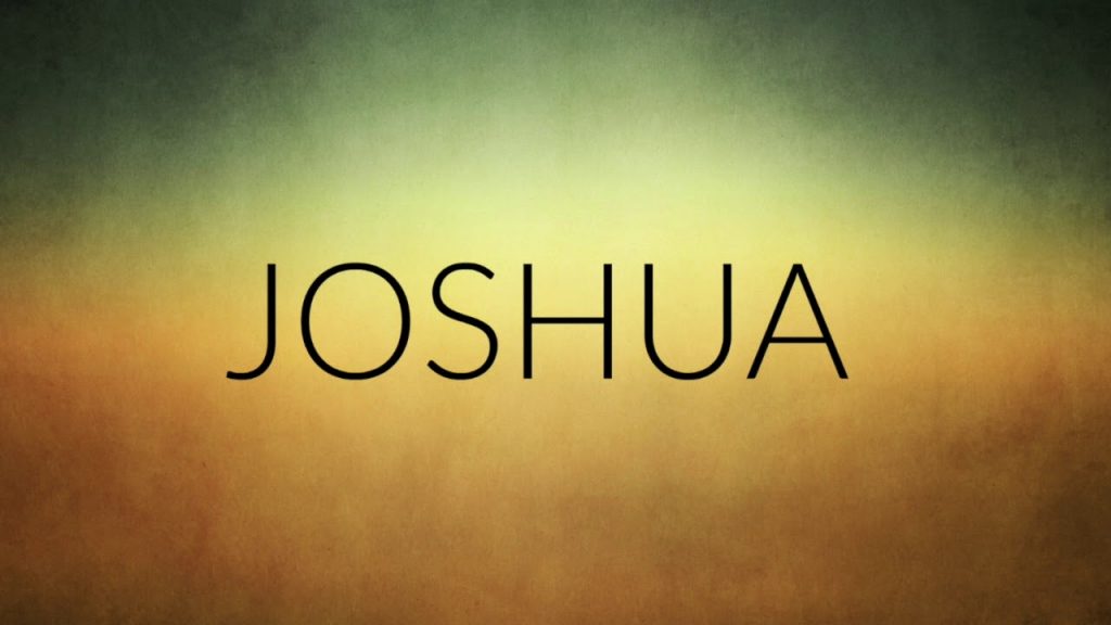 Book of Joshua - Reformed Audio